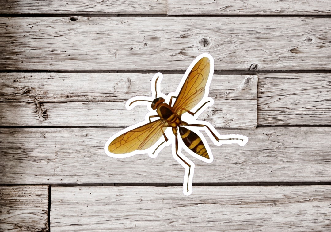 Wasp Sticker, Hornet Sticker, Insect Sticker, Bug Sticker, Waterproof ...