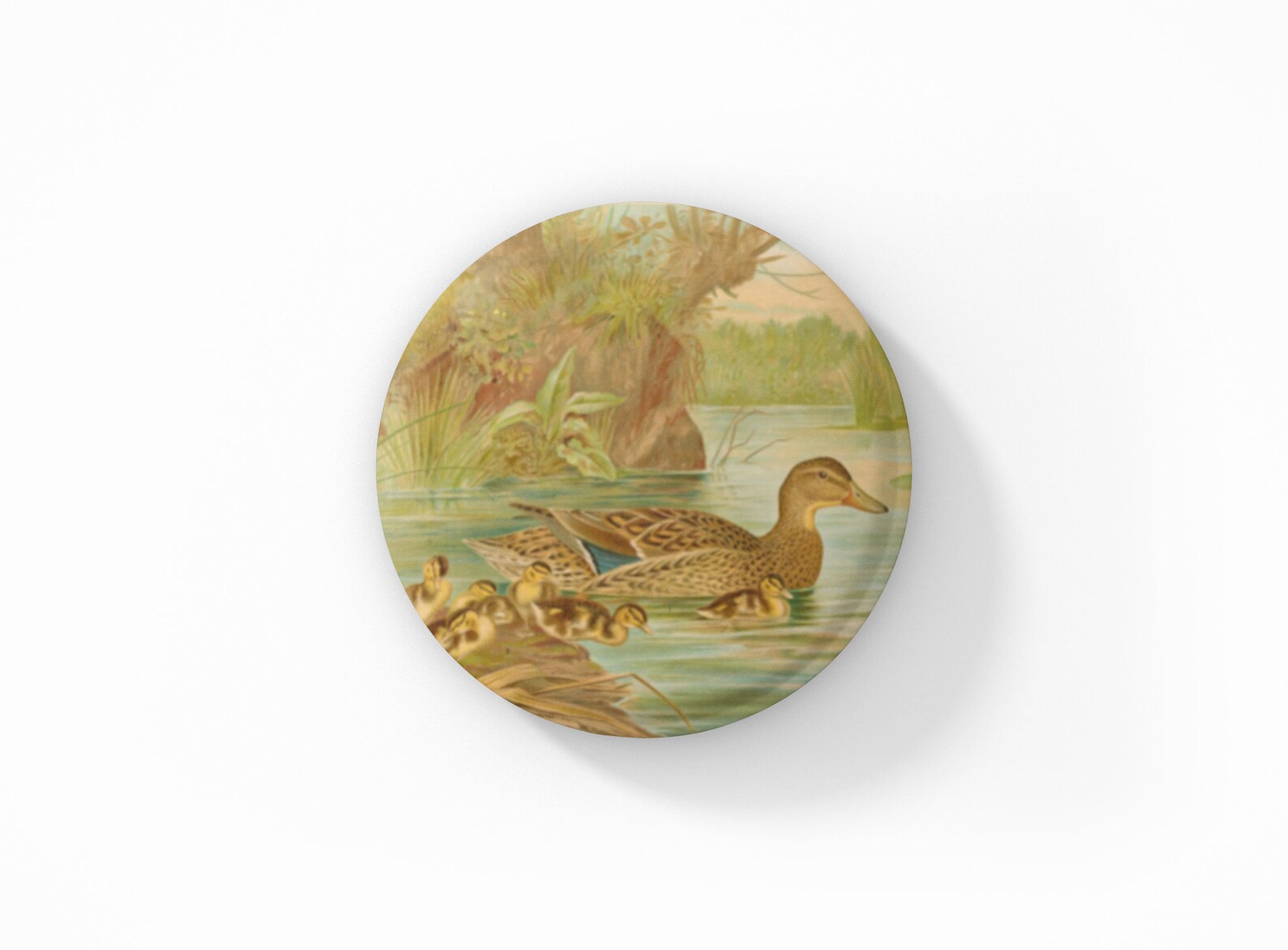 Mallard Duck Pin, Mallard Pin Back Button, Duck Pin, Vintage Mallard ...