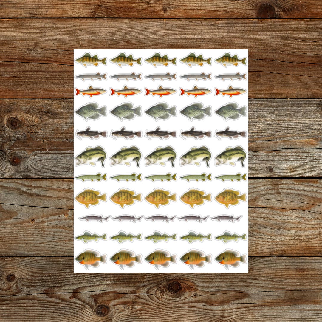 Fish Sticker Sheet, Fishing Sticker Sheet, 8.5x11" Sticker Sheet ...