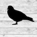 Pigeon Decal Pigeon Vinyl Decal Pigeon Sticker Dove Decal Morning Dove ...