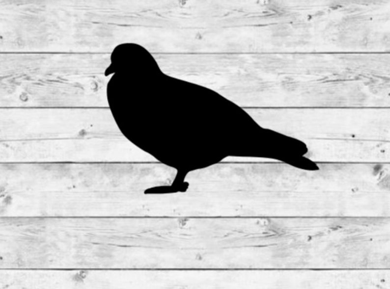 Pigeon Decal Pigeon Vinyl Decal Pigeon Sticker Dove - Etsy