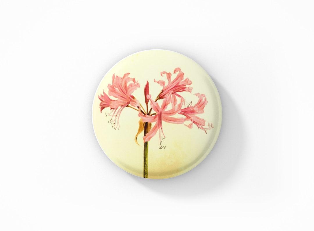 Flower Pin, Flower Pin Back Button, Floral Pin, Vintage Botanical Print ...