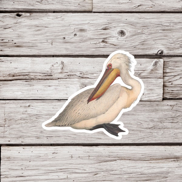 Pelican Sticker - Etsy