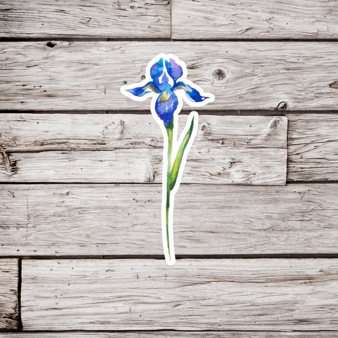Iris Flower Sticker, Flower Sticker, Floral Sticker, Garden Sticker ...