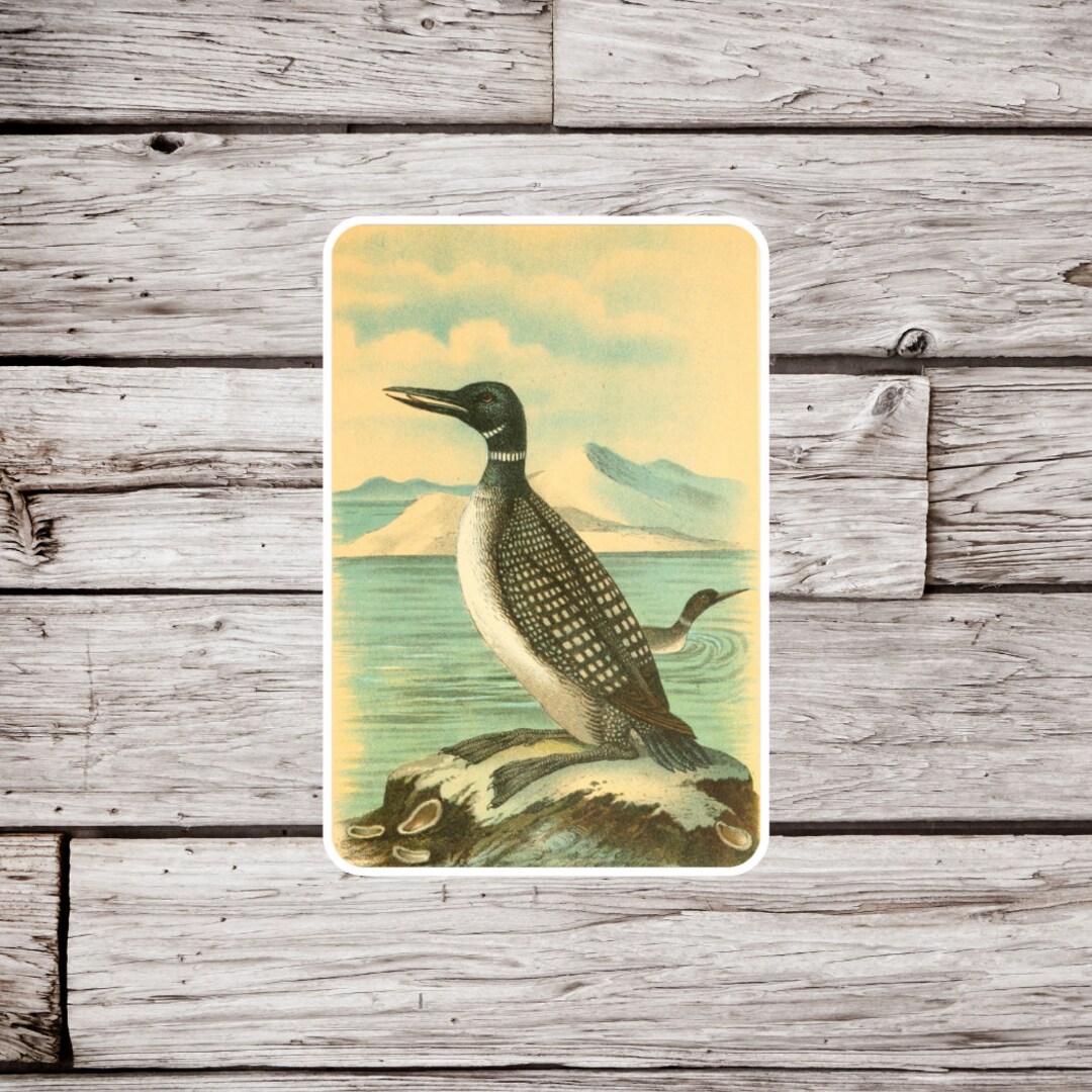 Loon Sticker or Magnet, Vintage Loon Sticker, Waterproof Sticker, Loon ...