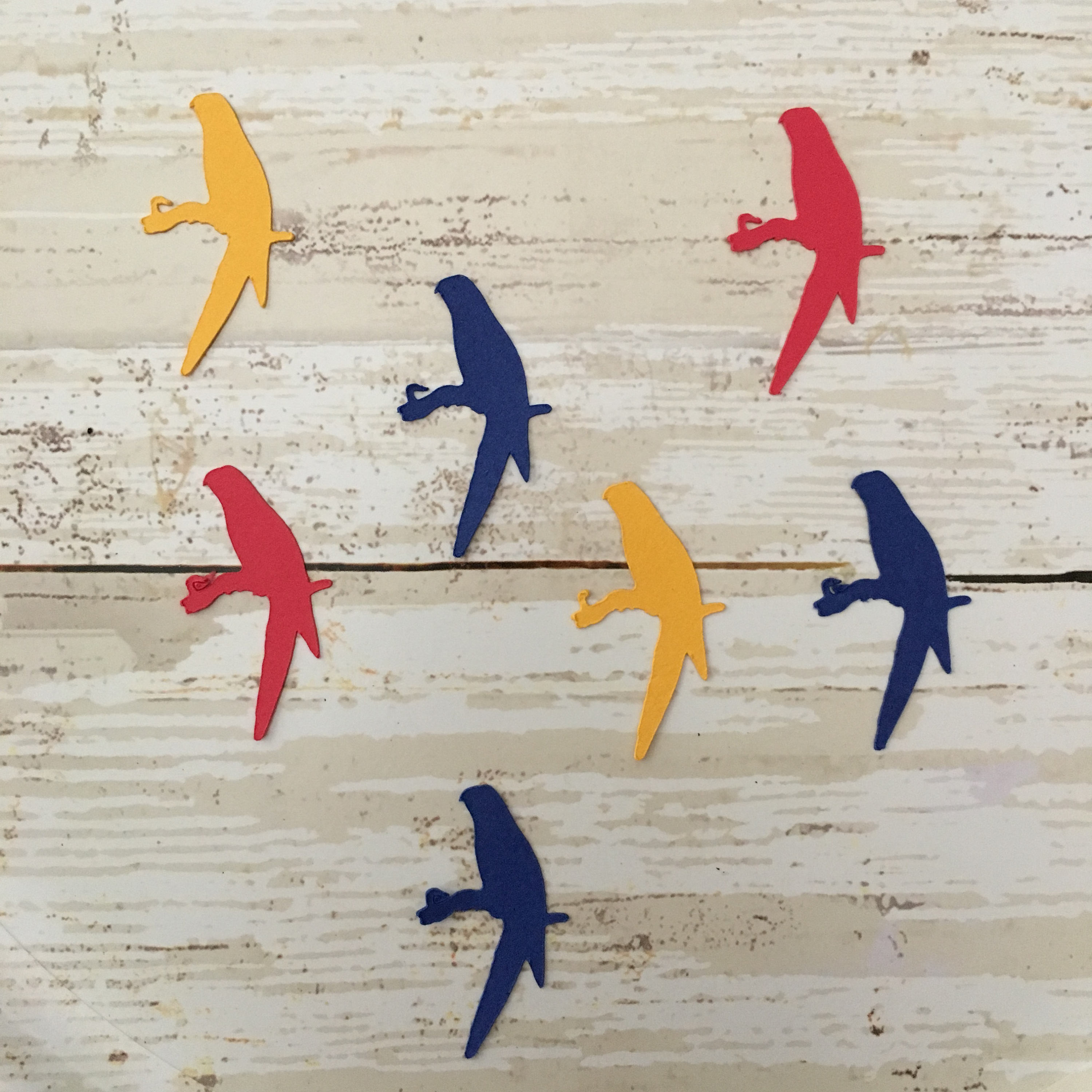 Parrot Confetti | Parrot Cut Outs | Parrot Decoration | Jungle Confetti ...
