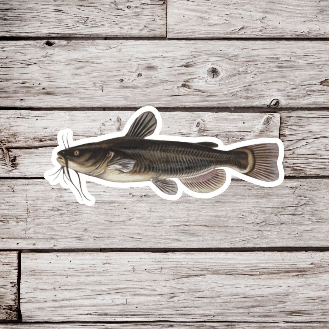 Bullhead Sticker, Catfish Sticker, Fish Sticker, Waterproof Sticker ...