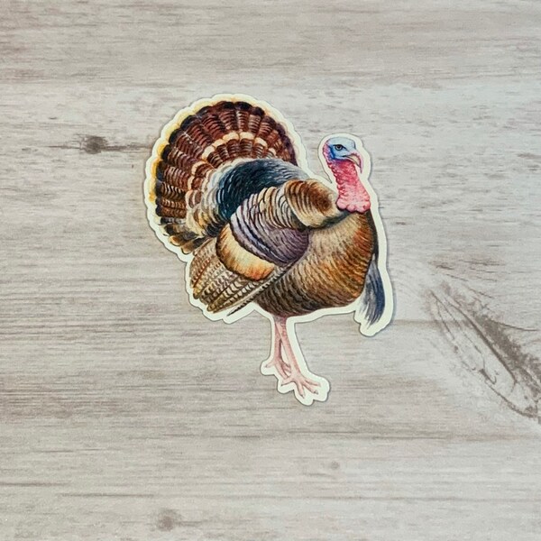 Turkey Sticker - Etsy