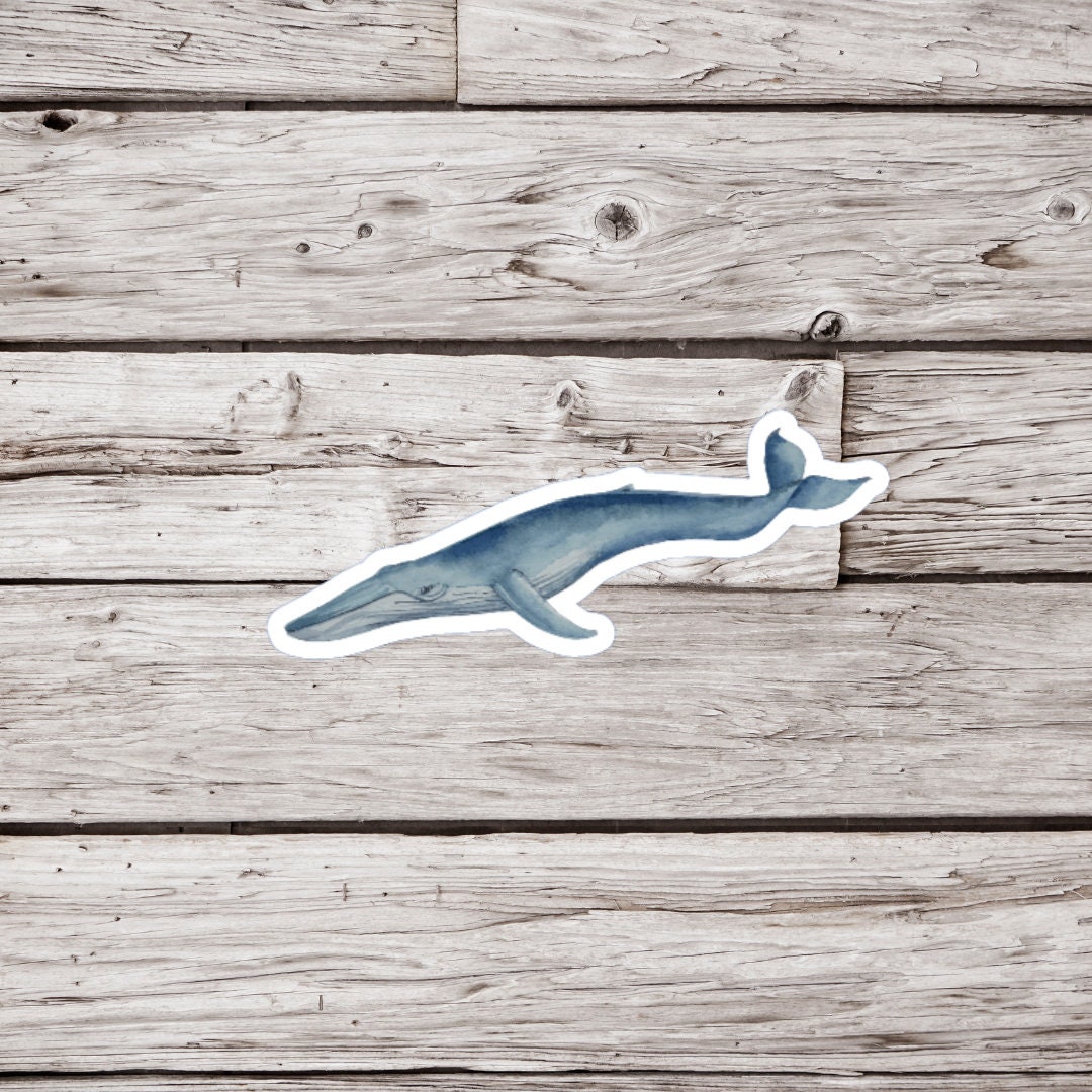 Blue Whale Sticker, Whale Sticker, Waterproof Sticker, Ocean Sticker ...
