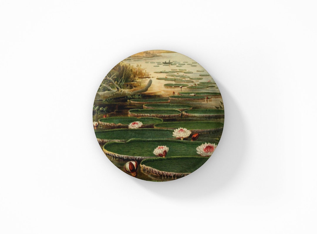 Giant Lily Pads Pin, Lily Pad Pin Back Button, Botanical Pin, Vintage ...