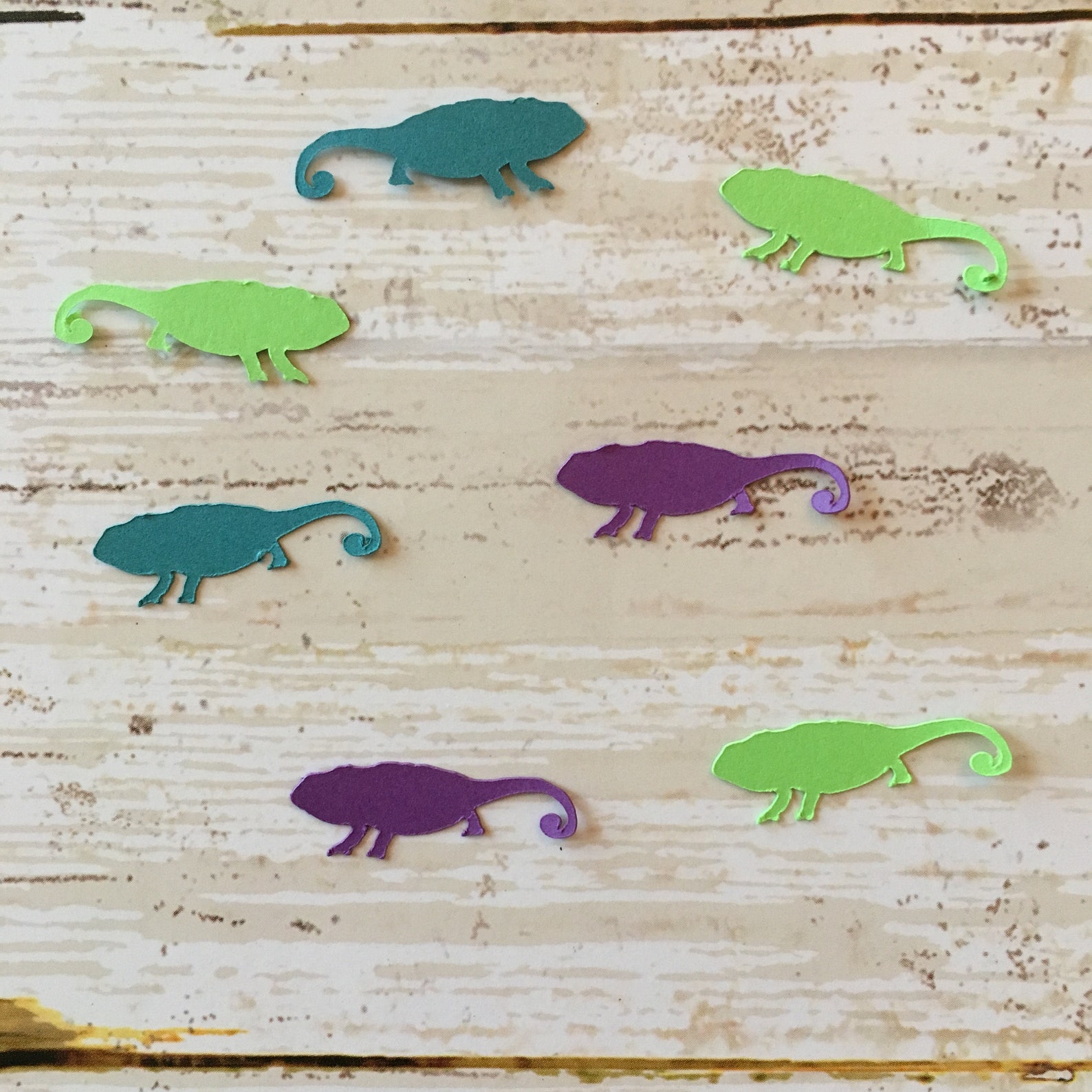 Chameleon Confetti Chameleon Cut Outs Chameleon Decoration - Etsy