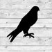 Falcon Decal Falcon Sticker Falcon Vinyl Decal Bird of Prey Decal Bird ...