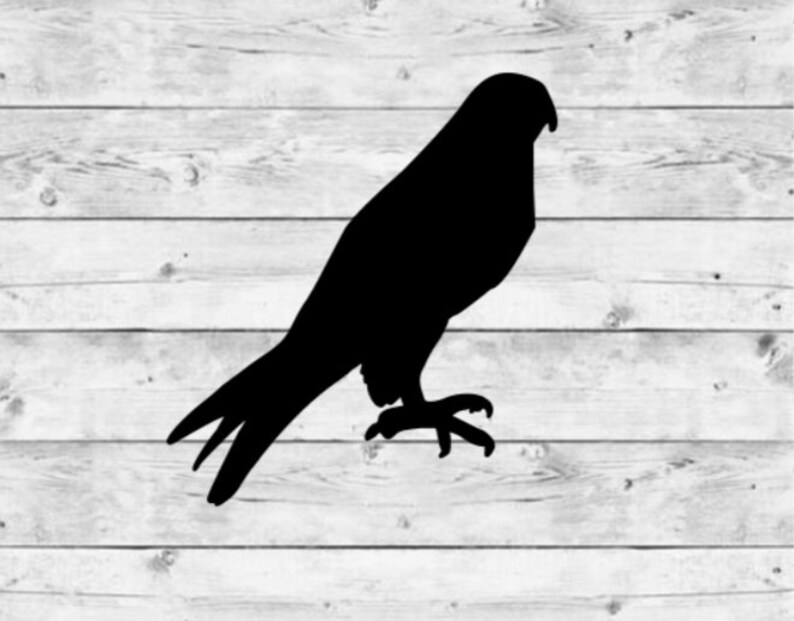 Falcon Decal Falcon Sticker Falcon Vinyl Decal Bird of | Etsy