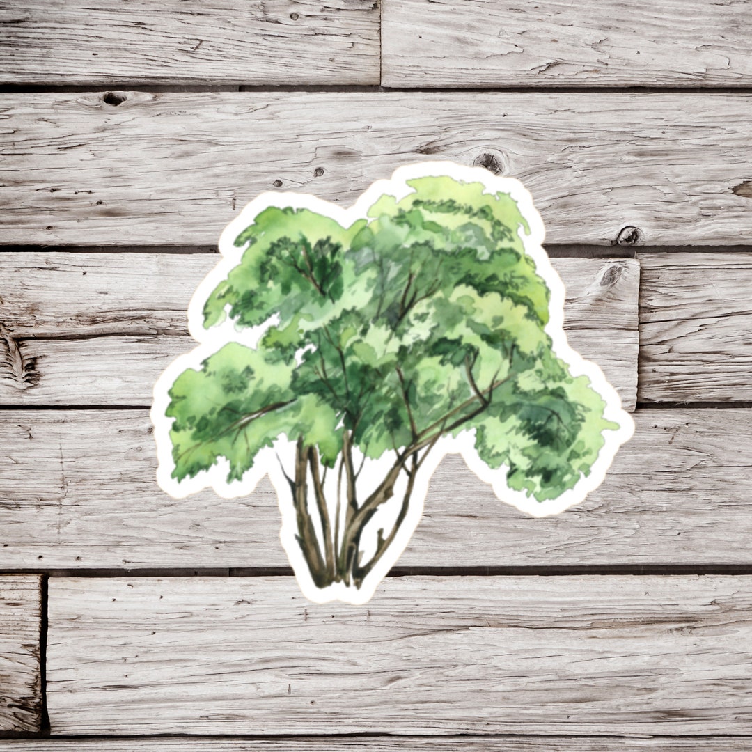 Elder Tree Sticker or Magnet, Elder Tree Sticker, Elder Tree Magnet ...