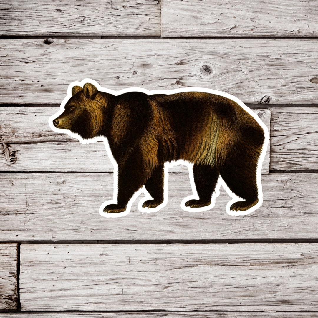 Bear Sticker, Brown Bear Sticker, Animal Sticker, Wildlife Sticker ...