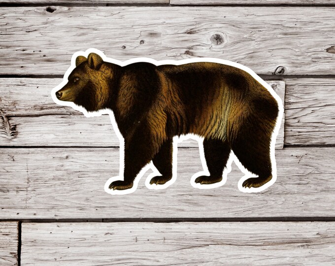 Bear Sticker, Brown Bear Sticker, Animal Sticker, Wildlife Sticker ...