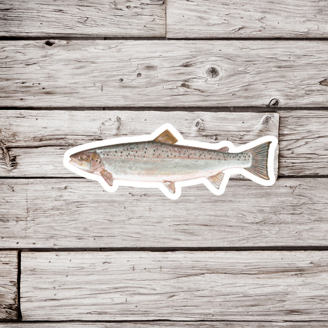 Salmon Sticker or Magnet, Salmon Sticker, Salmon Magnet, Fish Sticker ...
