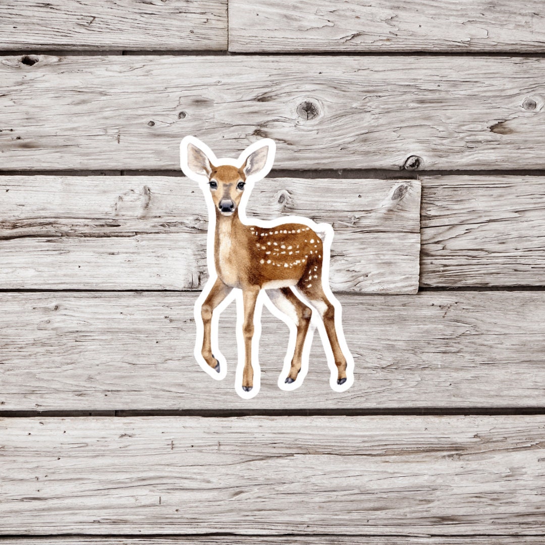 Fawn Sticker, White Tailed Deer Sticker, Animal Sticker, Waterproof ...