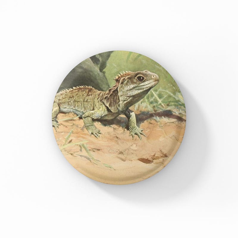 Lizard Button Keychain - Etsy