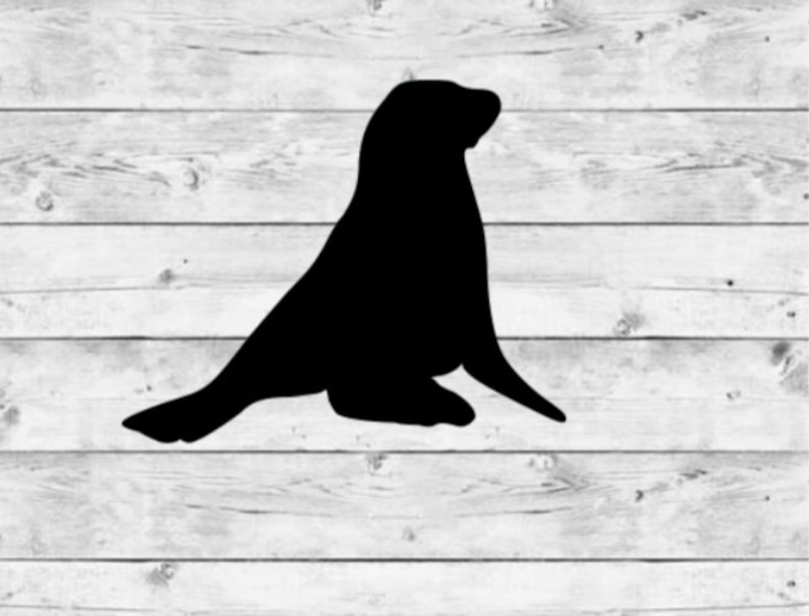 Sea Lion Decal Sea Lion Vinyl Decal Sea Lion Sticker - Etsy