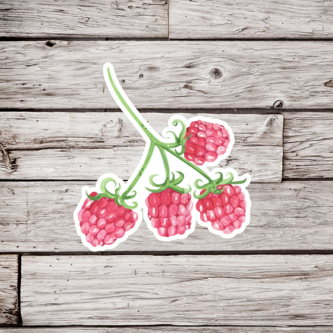 Raspberry Sticker, Raspberries Sticker, Waterproof Sticker, Berry ...