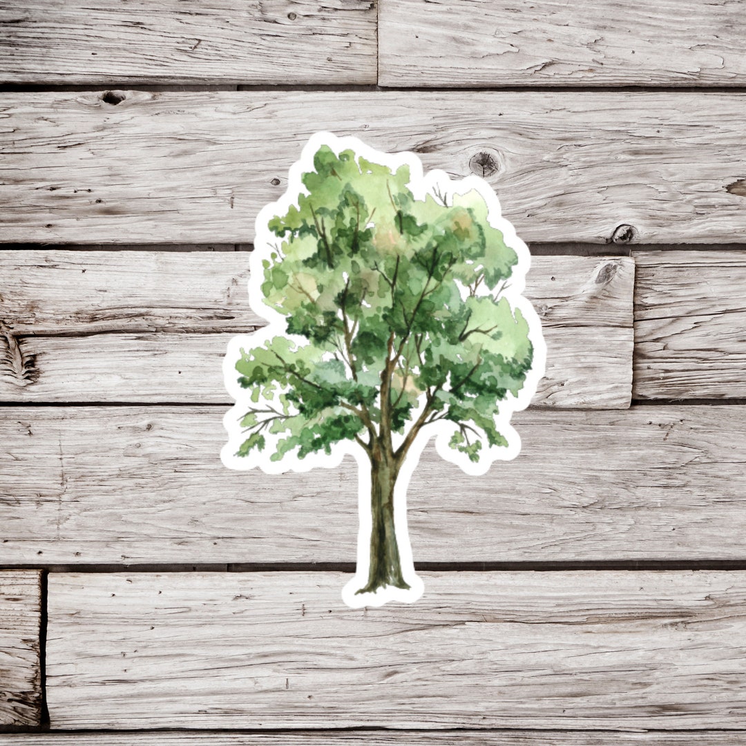 Ash Tree Sticker, Watercolor Ash Tree Sticker, Tree Sticker, Botanical ...