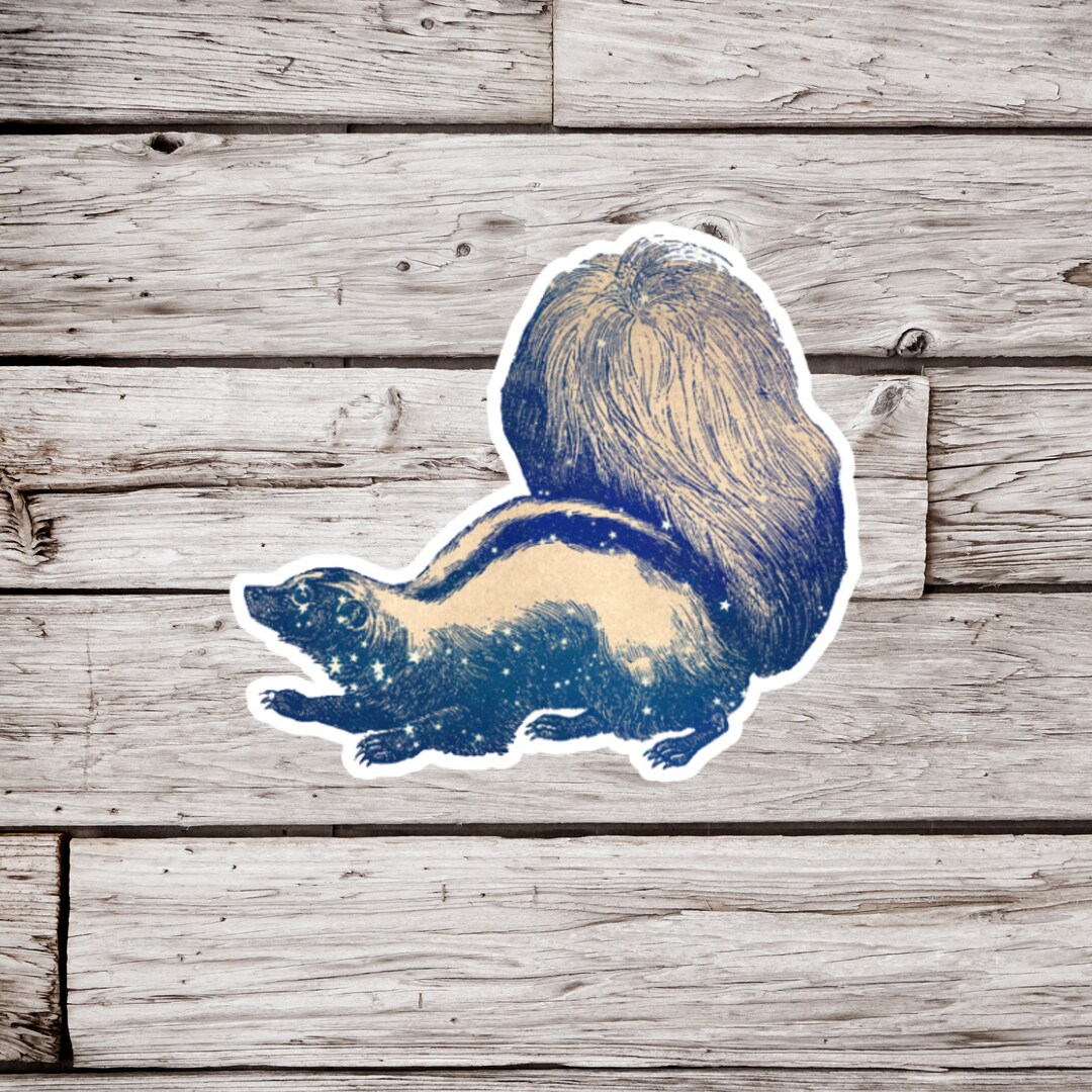 Skunk Sticker, Celestial Skunk Sticker, Celestial Sticker, Waterproof ...