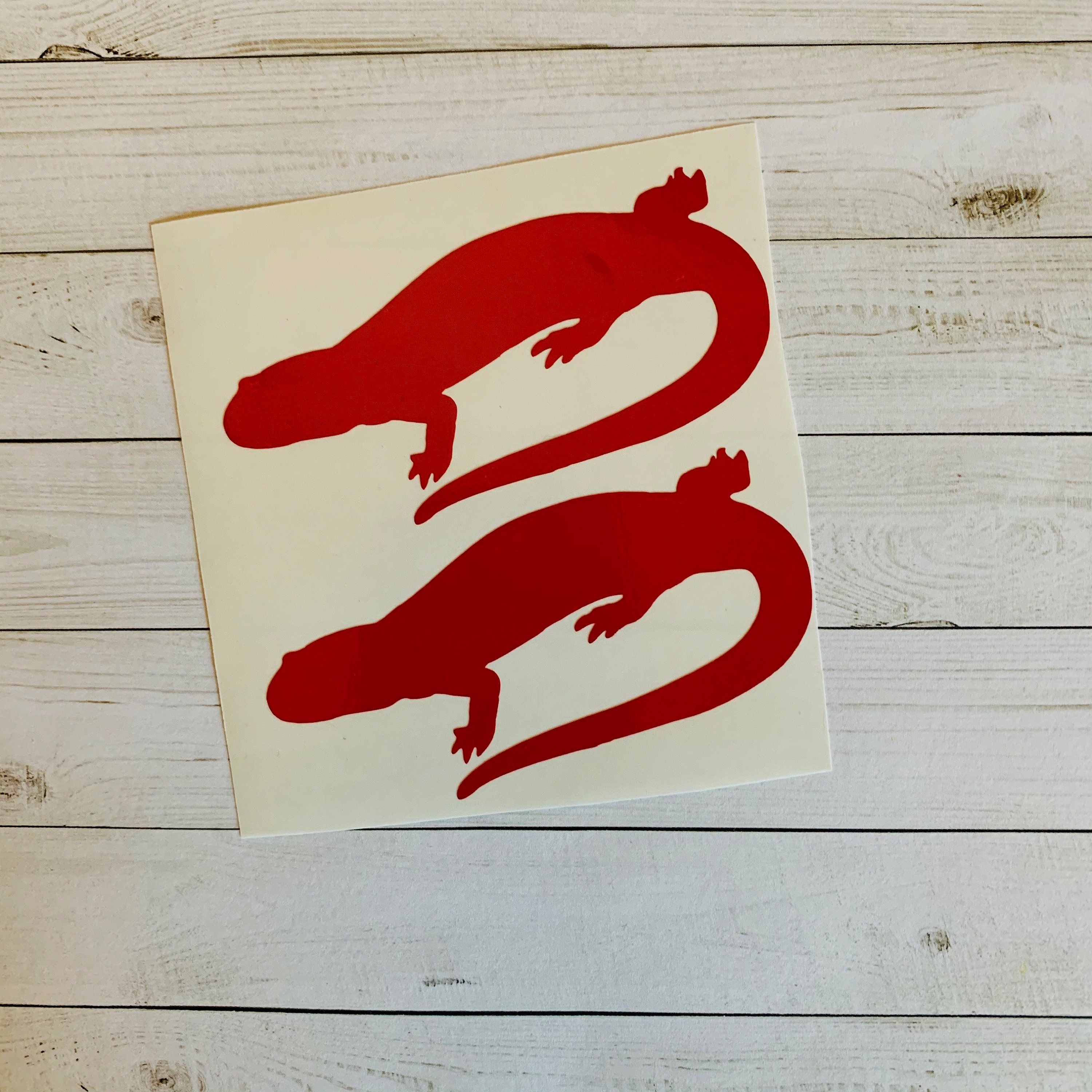 Salamander Sticker Salamander Decal Amphibian Decal Nute - Etsy UK