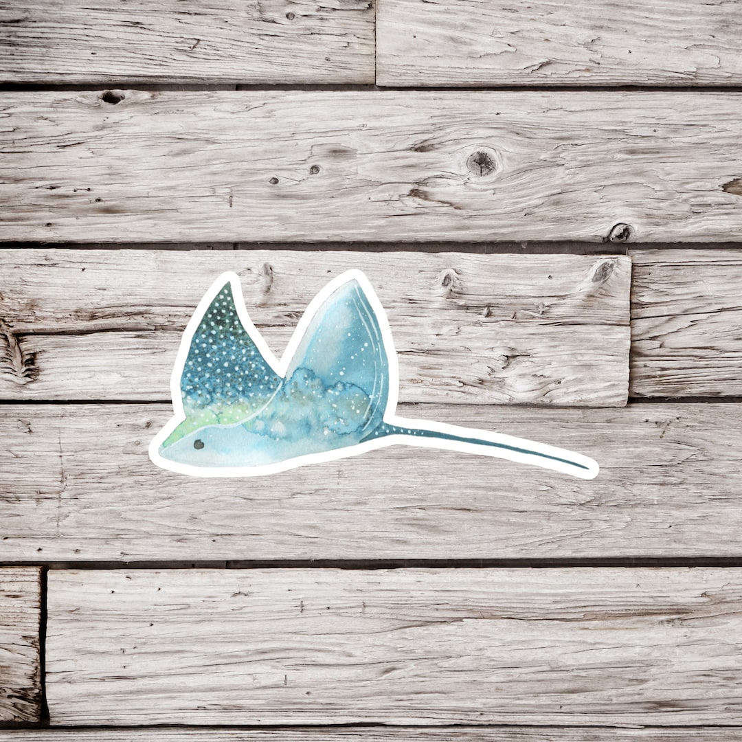 Stingray Sticker or Magnet, Stingray Sticker, Stingray Magnet ...