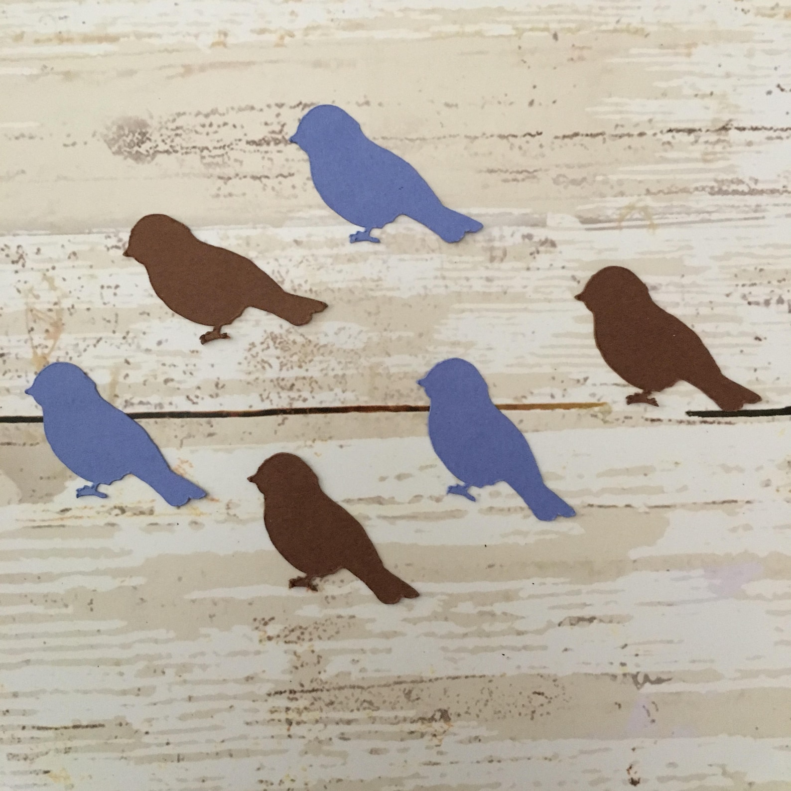 Bird Confetti | Bird Cut Outs | Bird Decoration | Bird Table Scatter ...