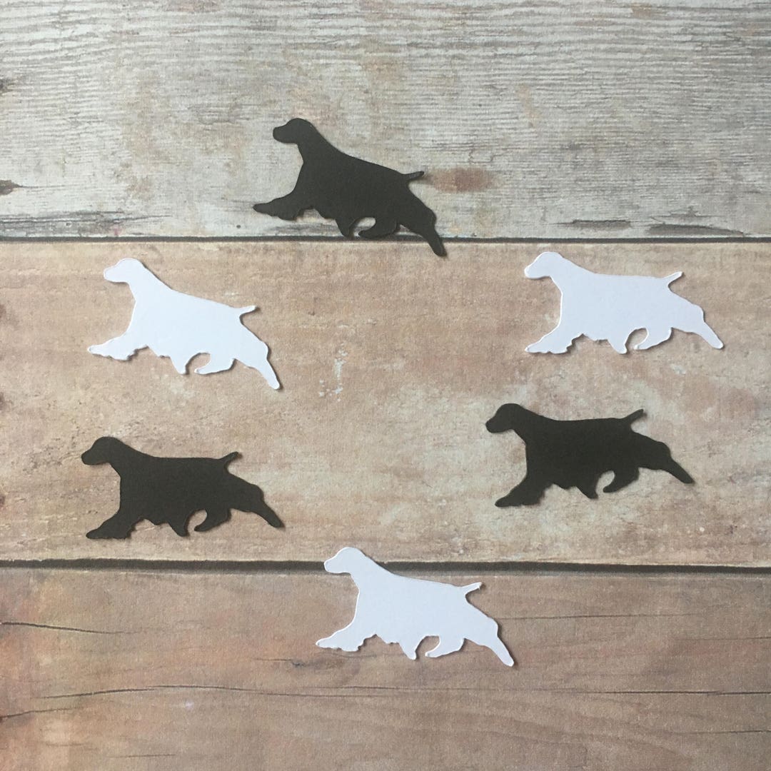 English Setter Confetti | English Setter Cut Out | English Setter ...