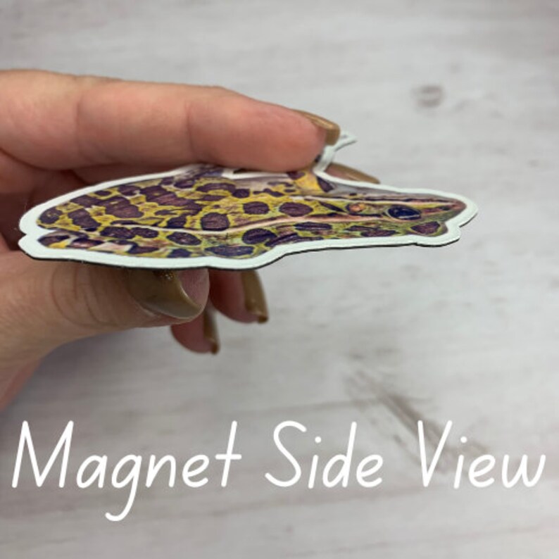 Whale Shark Sticker or Magnet Whale Shark Sticker Shark - Etsy