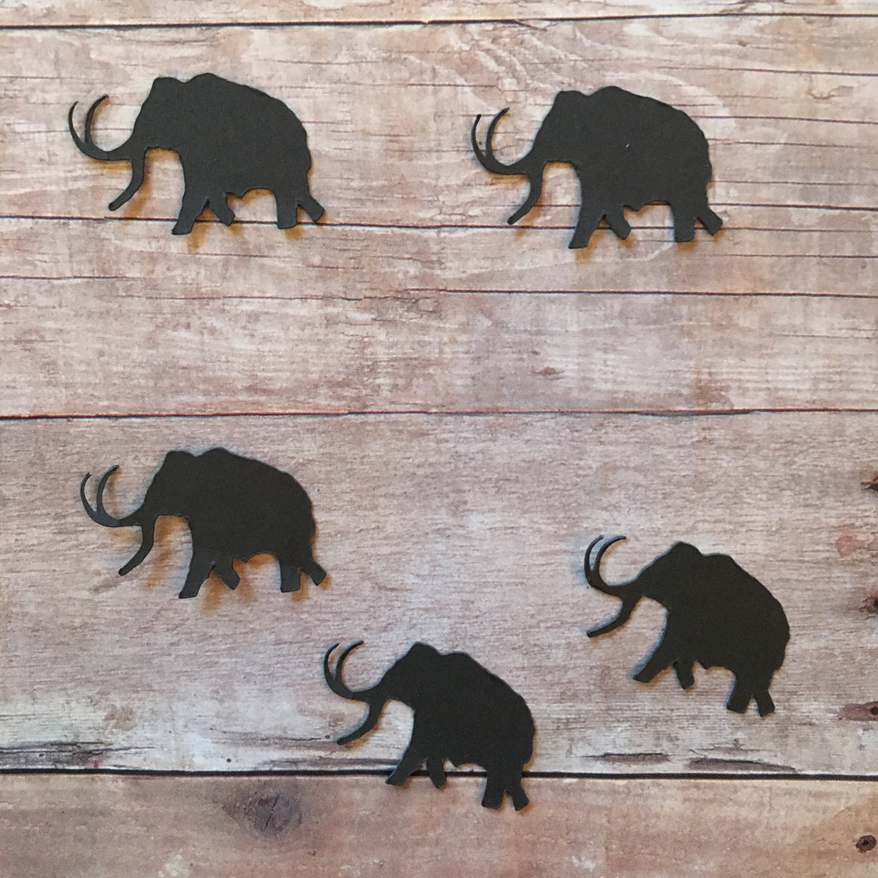 Woolly Mammoth Confetti Elephant Confetti Science Confetti | Etsy