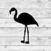 Flamingo Decal Flamingo Vinyl Decal Flamingo Sticker - Etsy