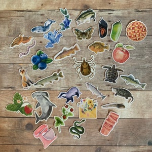 Mystery Mini Sticker Pack, Random Sticker Pack, Assorted Small Sticker ...