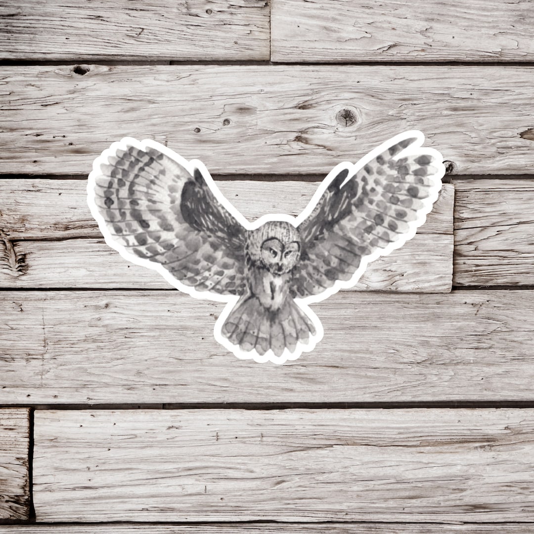 Great Grey Owl Sticker, Grey Owl Sticker, Owl Sticker, Waterproof ...