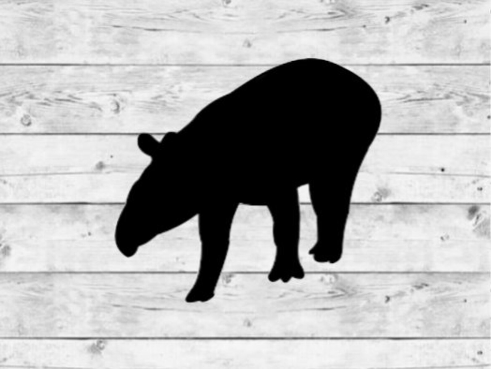 Tapir Decal | Tapir Sticker | Tapir Decoration | Tapir Car Decal ...