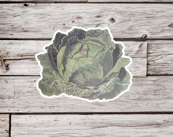 Cabbage Lettuce Stickers One Inch Round Seals - Etsy