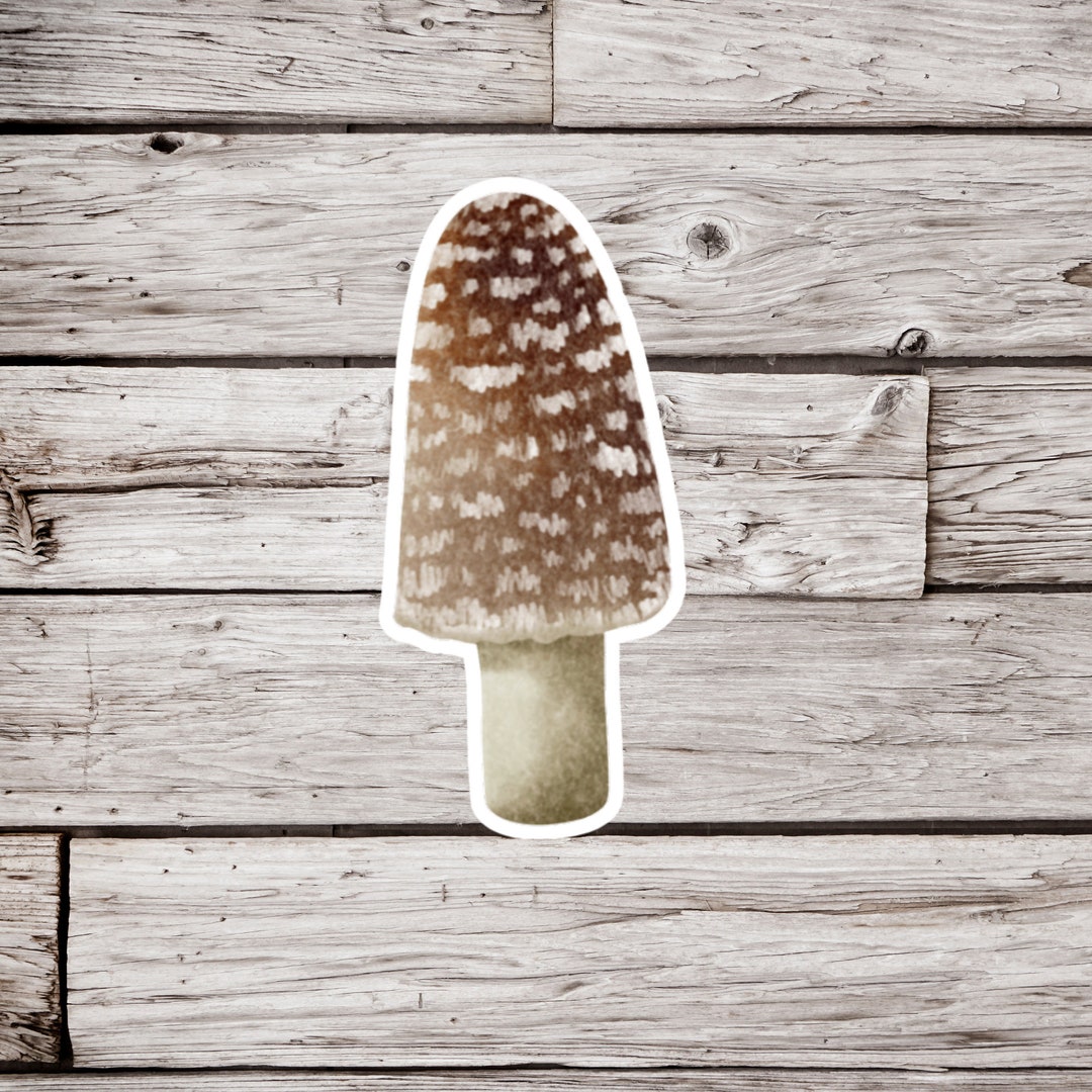 Morel Mushroom Sticker, Morchella Sticker, Waterproof Sticker, Fungus ...