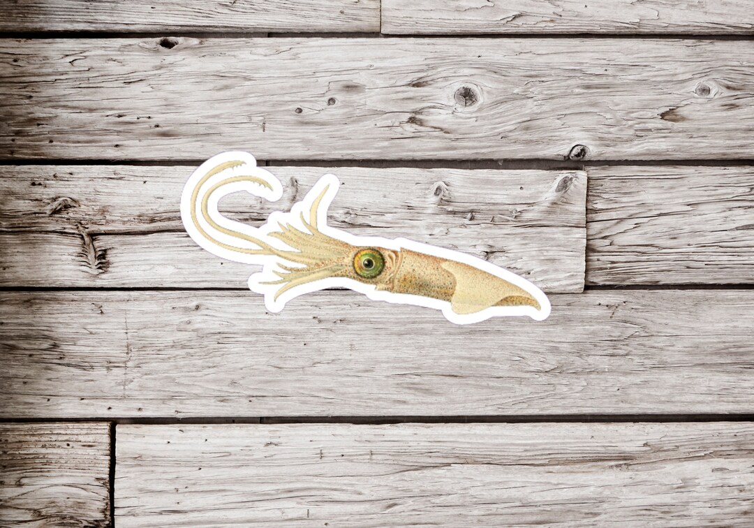 Colossal Squid Sticker, Giant Squid Sticker, Squid Sticker, Ocean ...