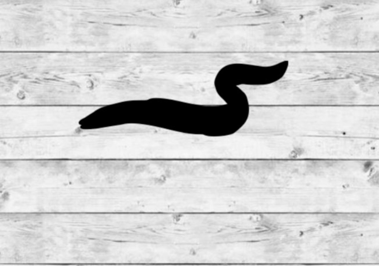 Eel Decal Eel Vinyl Decal Eel Sticker Moray Eel Animal | Etsy