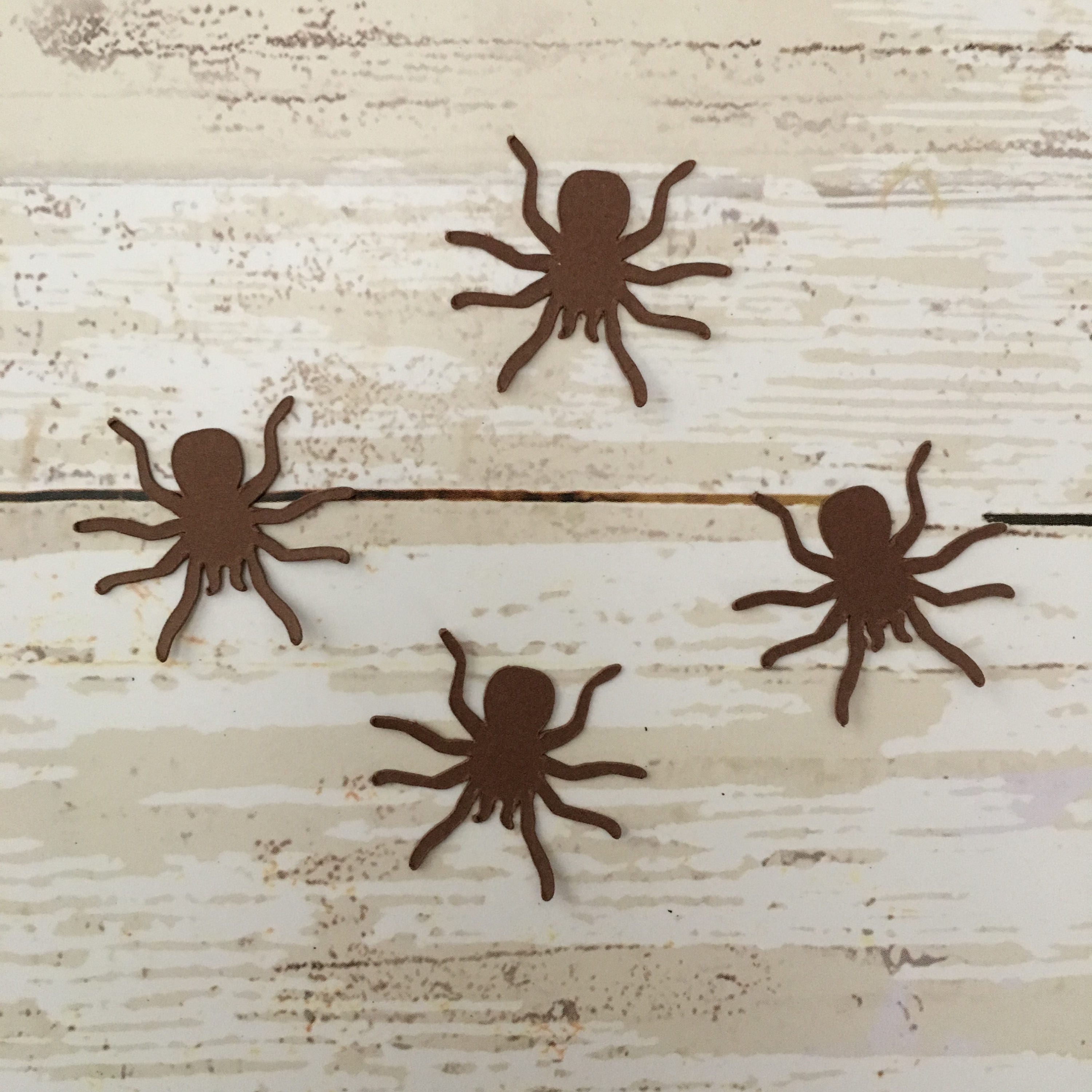 Tarantula Confetti Tarantula Cut Out Tarantula Decoration - Etsy