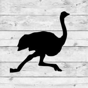 Ostrich Decal | Ostrich Vinyl Decal | Ostrich Sticker | Animal Sticker ...