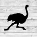 Ostrich Decal | Ostrich Vinyl Decal | Ostrich Sticker | Animal Sticker ...