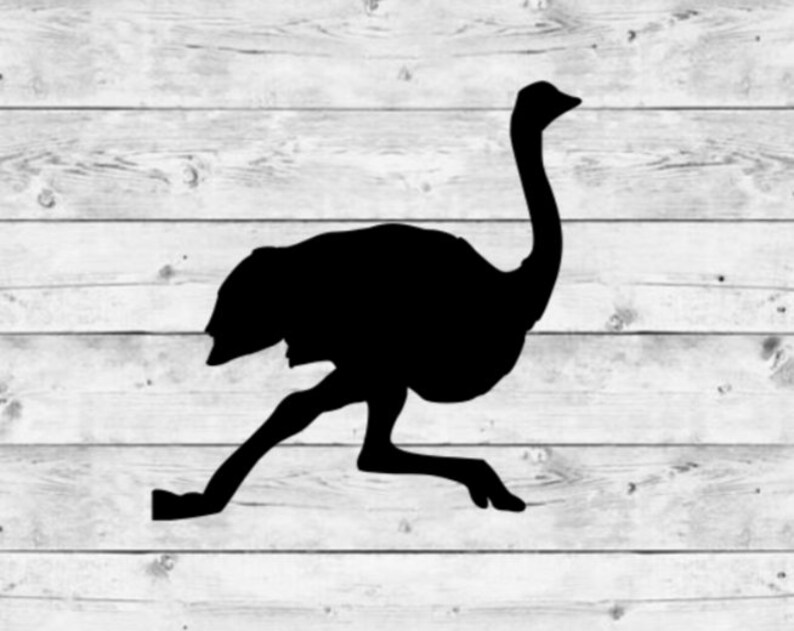 Ostrich Decal | Ostrich Vinyl Decal | Ostrich Sticker | Animal Sticker ...
