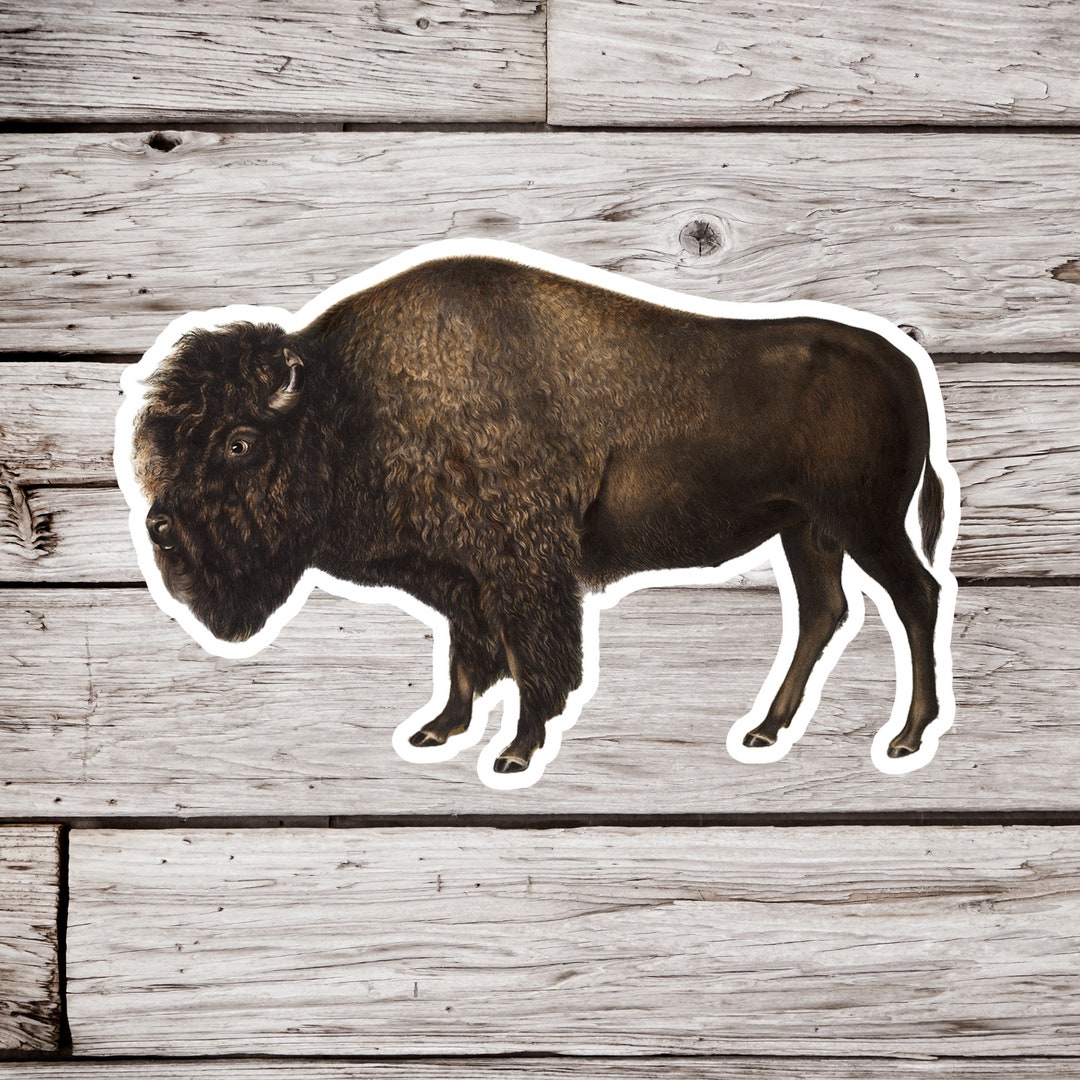 Bison Sticker or Magnet, Bison Sticker, Bison Magnet, Waterproof ...