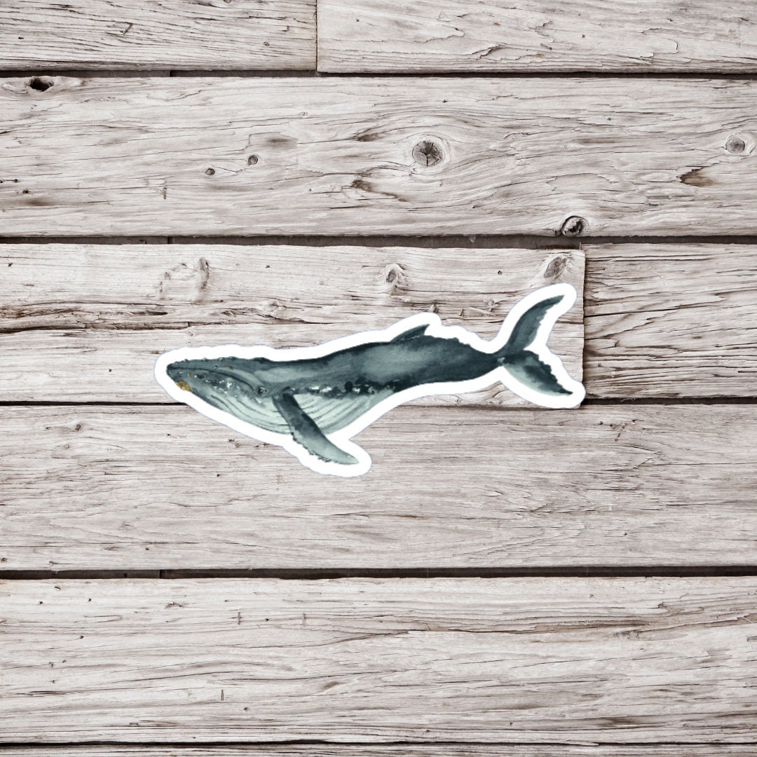 Humpback Whale Sticker, Whale Sticker, Ocean Sticker, Waterproof ...