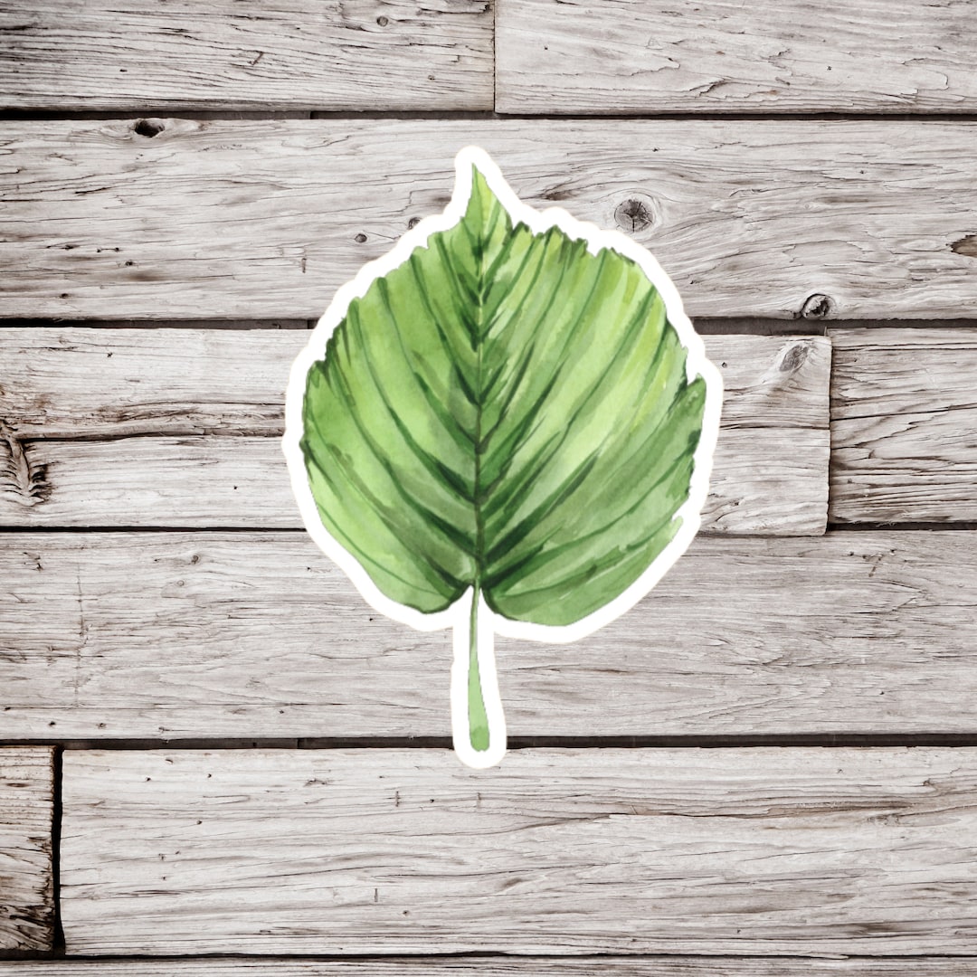 Hazel Leaf Sticker, Hazel Sticker, Leaf Sticker, Waterproof Sticker ...