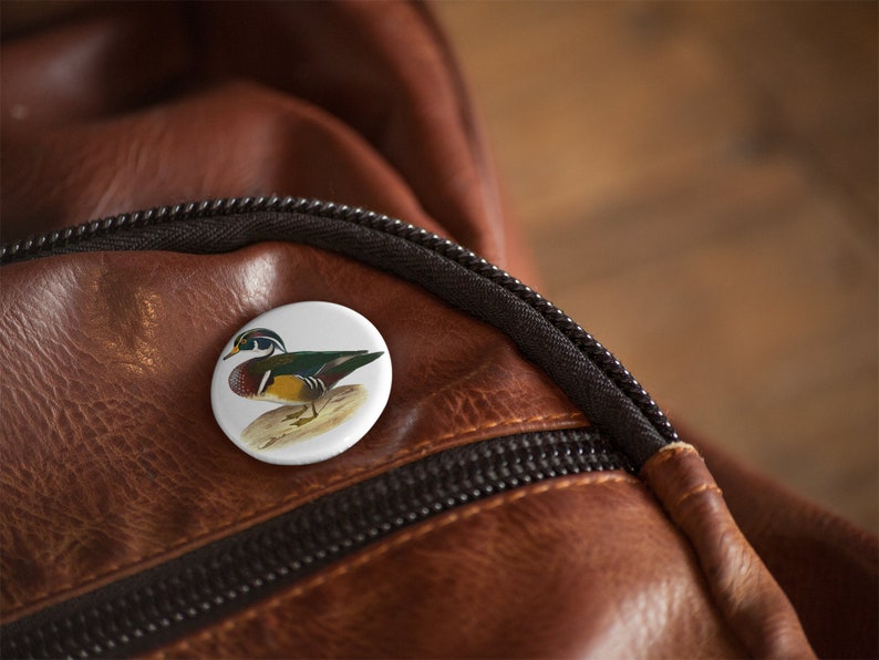 Wood Duck Pin, Wood Duck Pin Back Button, Duck Pin, Vintage Wood Duck ...