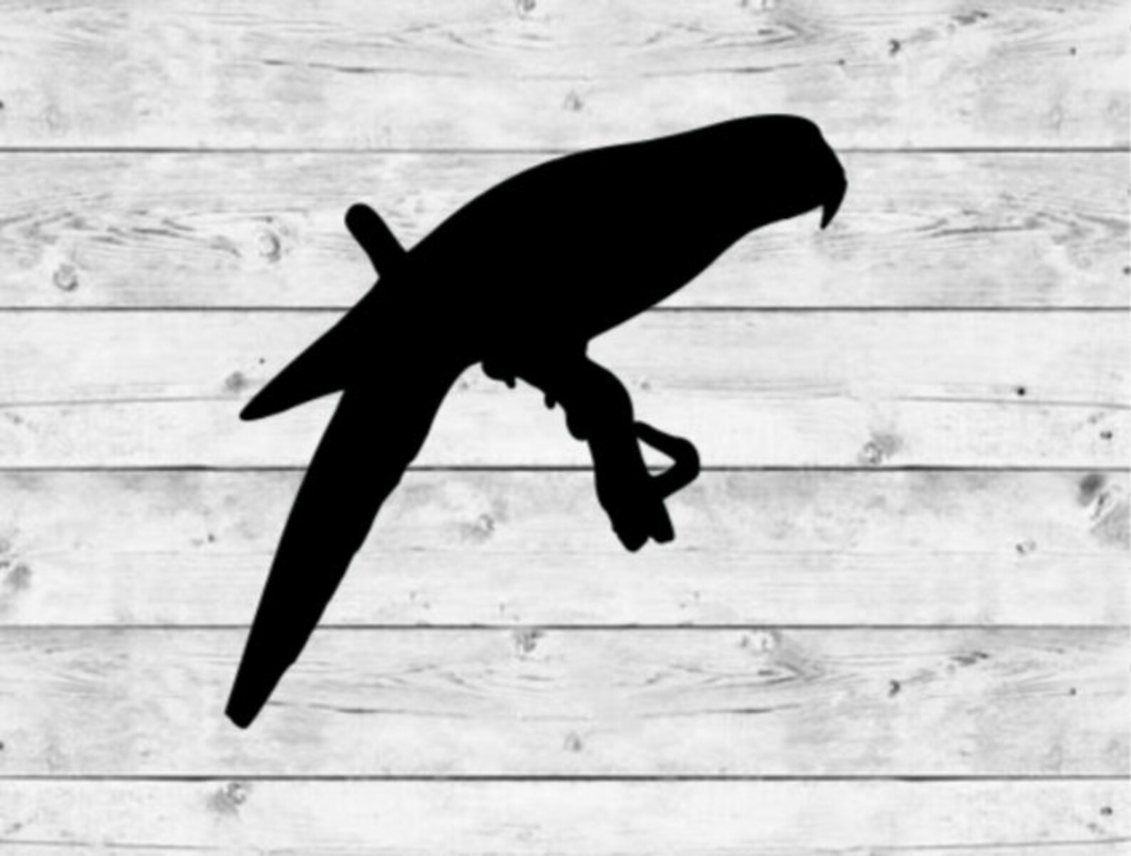 Parrot Decal Parrot Vinyl Decal Parrot Sticker Macaw - Etsy